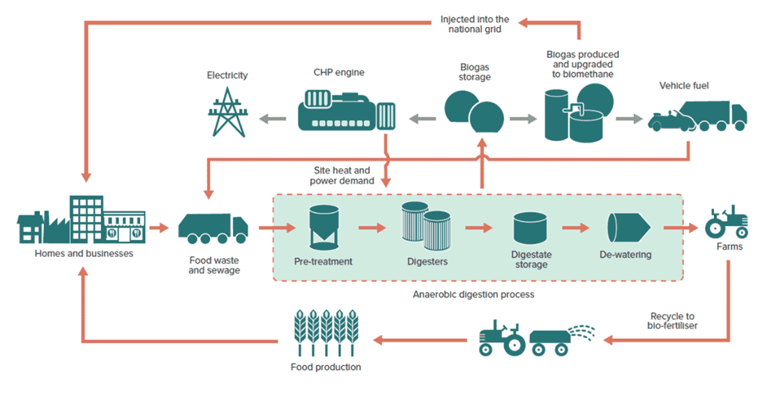 How Does Your Food Waste Get Converted Into Energy? | McCarthy Marland