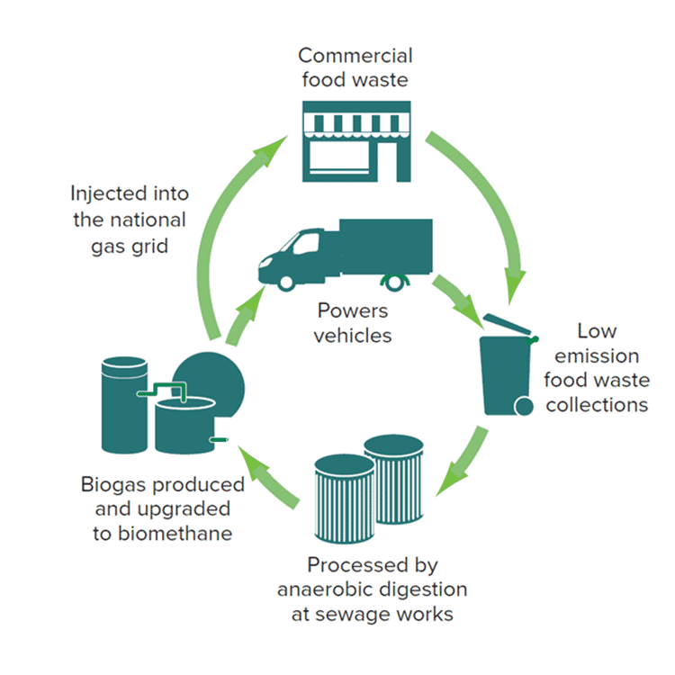 How Does Your Food Waste Get Converted Into Energy? | McCarthy Marland